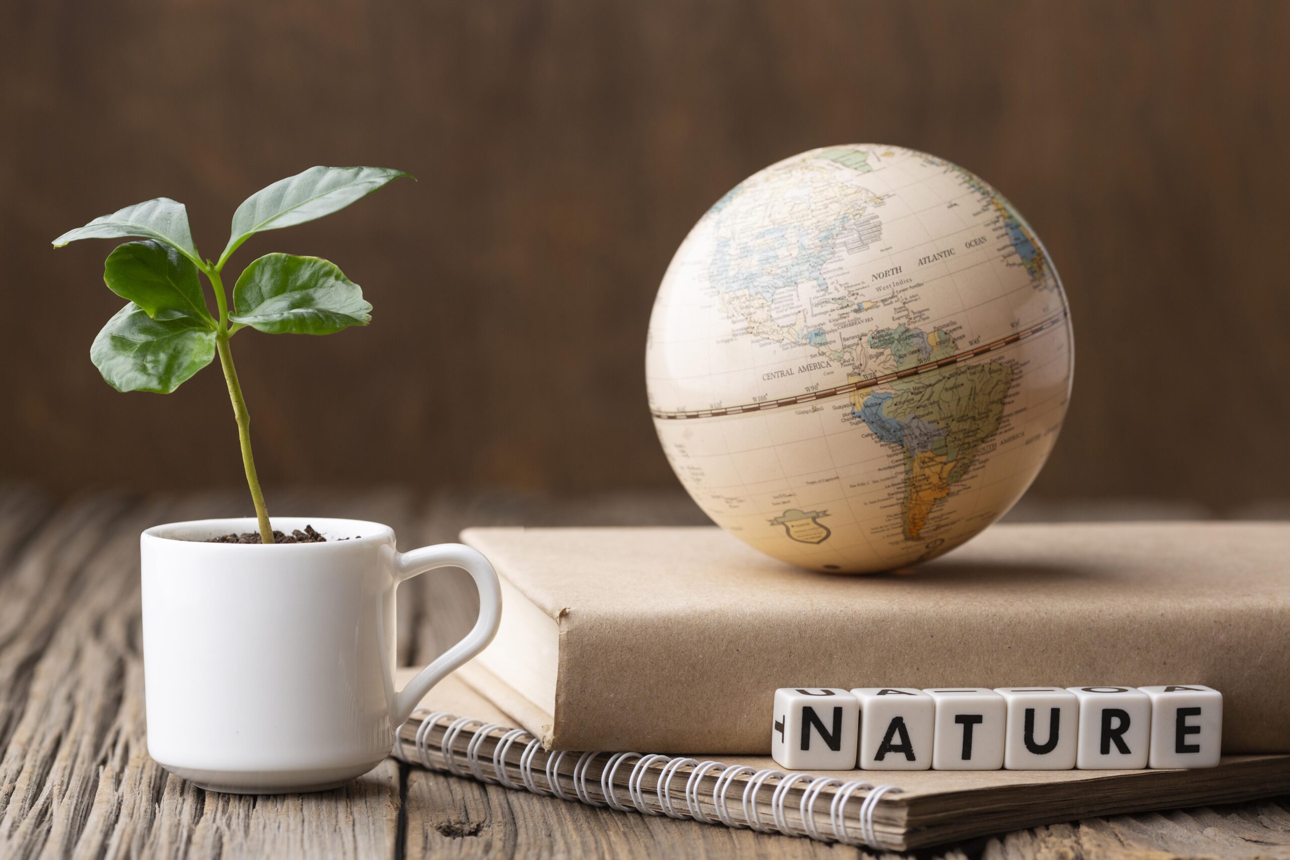 Simbramento: Meaning, Origins, and Its Importance in Different Fields - Spellmistake